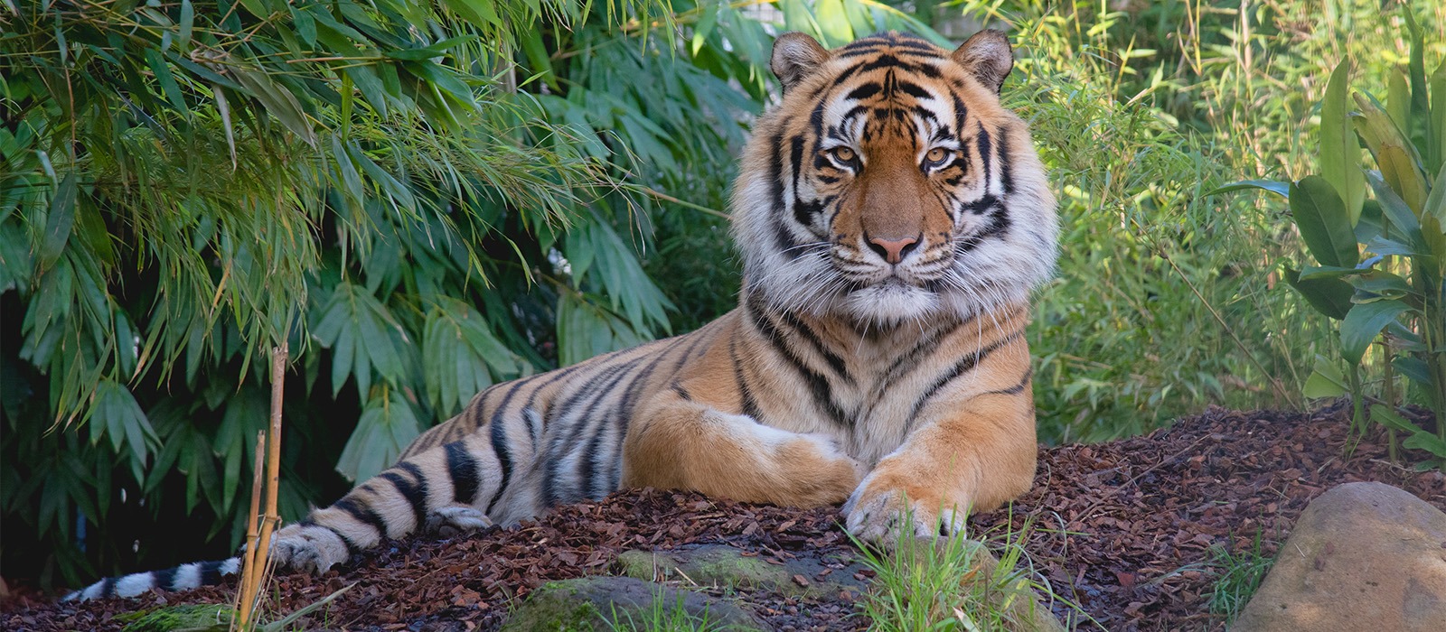 Plan Your Visit - Ballarat Wildlife Park