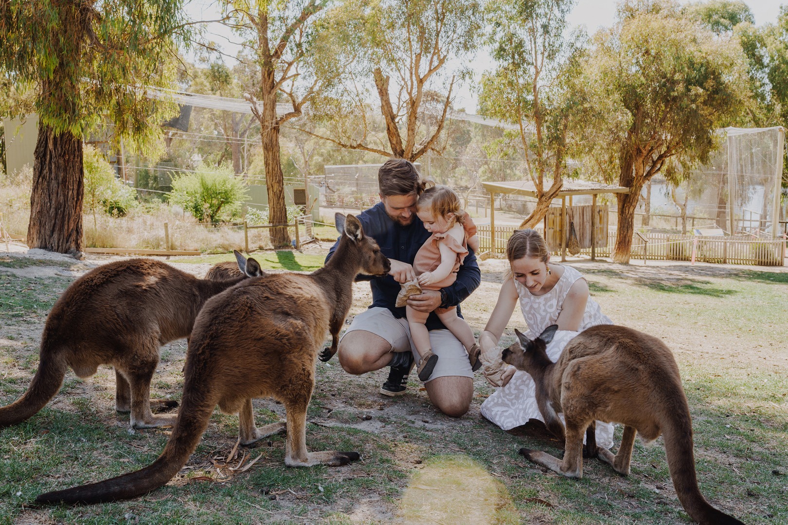 Plan Your Visit - Ballarat Wildlife Park